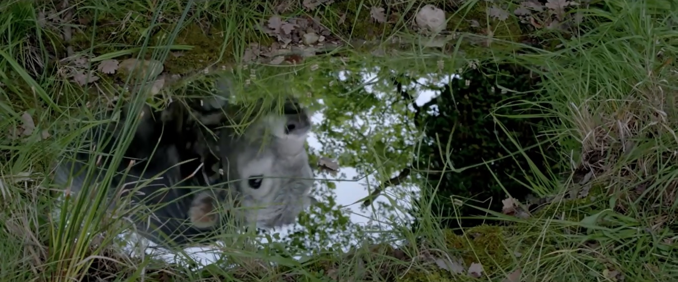 Christophe Honoré interprête les « Métamorphoses » d’Ovide (film ...